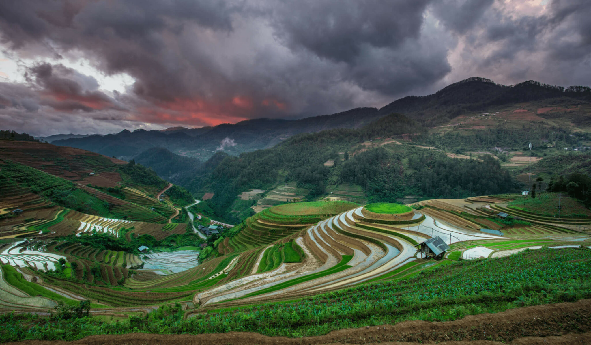 David Van Driessche - Bo Magazine